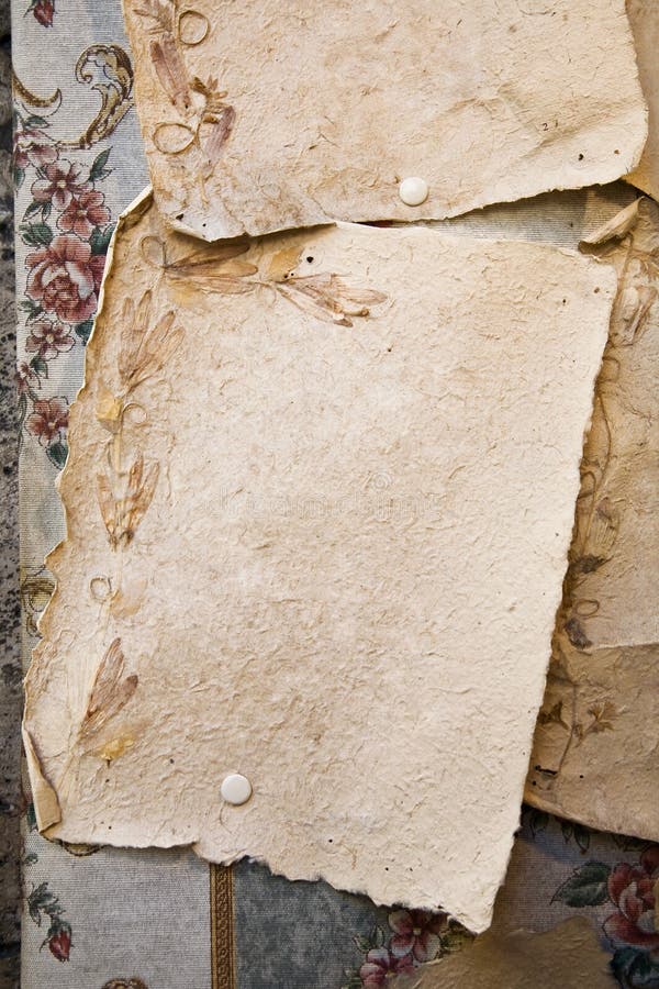 Pin paper on a wall stock image. Image of damaged, dried - 2038743