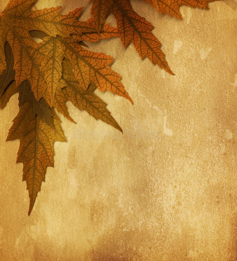 Old Paper and Autumn Leaves Stock Image - Image of color, faded: 26666533