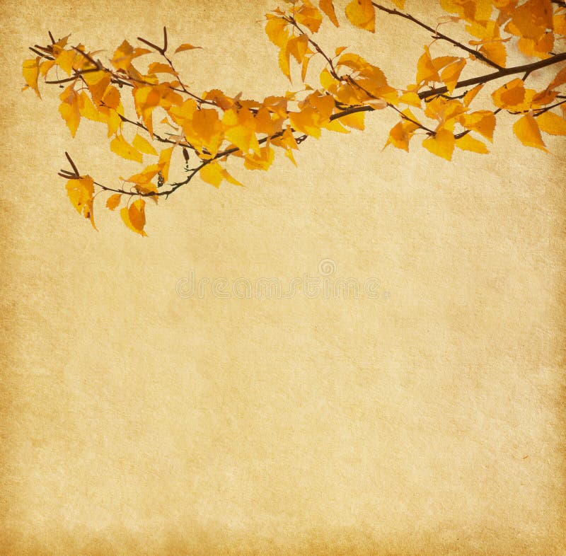 Old Paper with Autumn Leaves. Stock Image - Image of design, paper ...