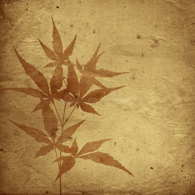 Japanese Old Paper Stock Illustrations – 8,456 Japanese Old Paper Stock ...