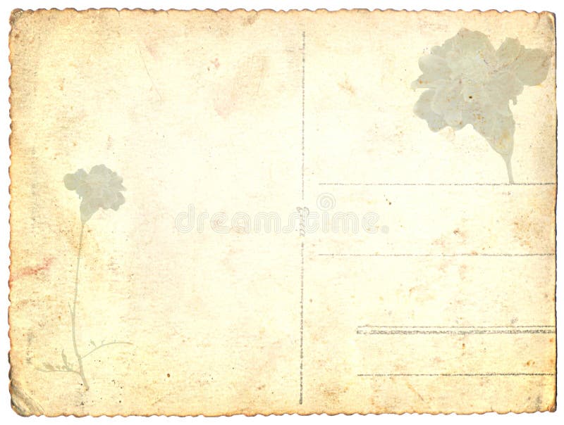 Old Paper Background with Flower Stock Image - Image of grunge, heart ...