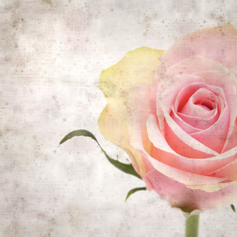 Old Paper Background Textured Old Paper Background with Unusual Pink ...