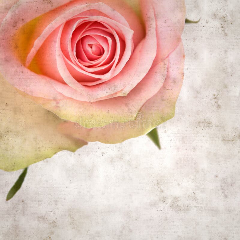 Old Paper Background Textured Old Paper Background with Unusual Pink ...