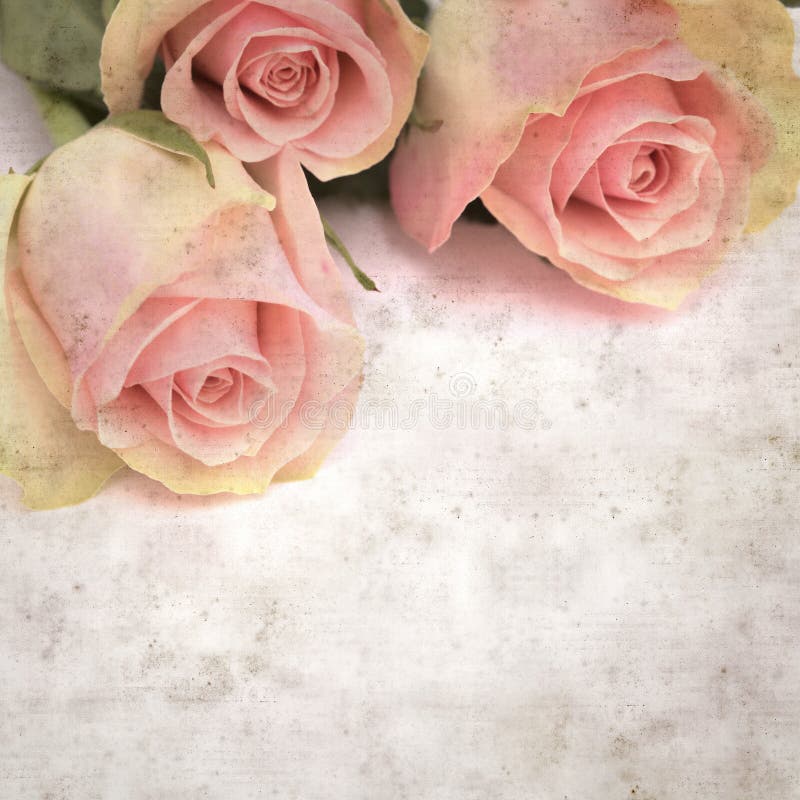 Old Paper Background Textured Old Paper Background with Unusual Pink ...