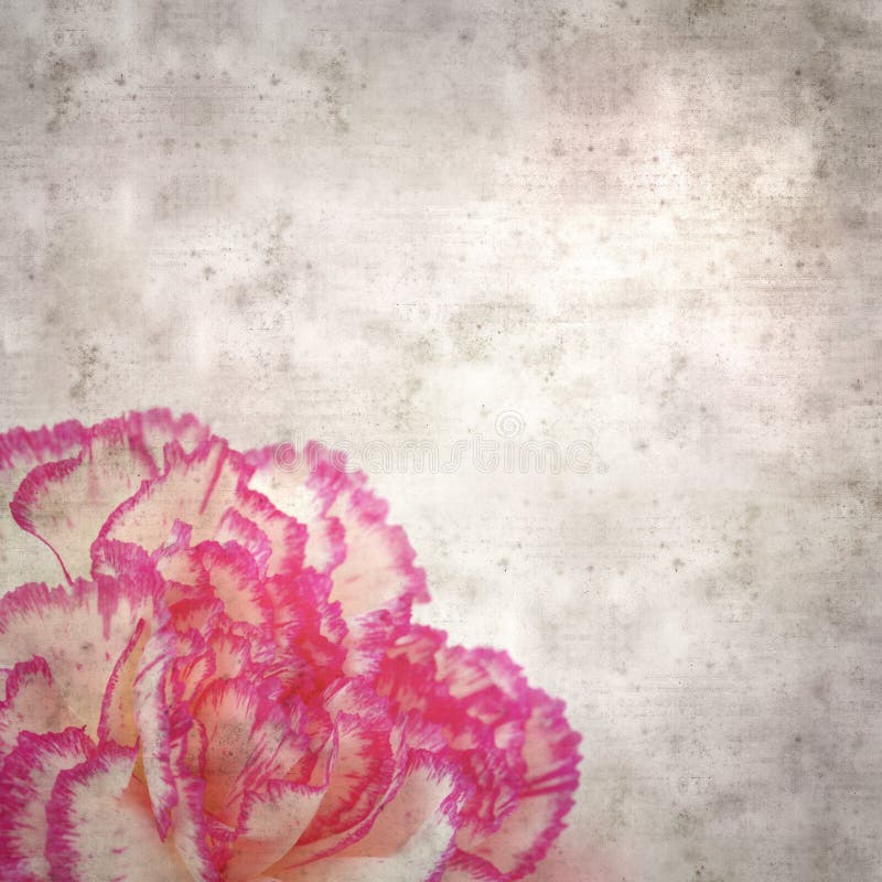 Stylish Textured Old Paper Background with Light Cream Carnation Stock ...