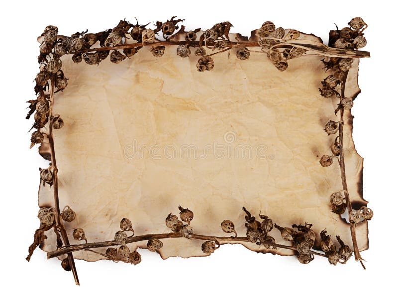 Old Paper with the Burned Edges Stock Image - Image of grungy, damaged ... Old Paper with the Burned Edges Stock Image - Image of grungy, damaged ...