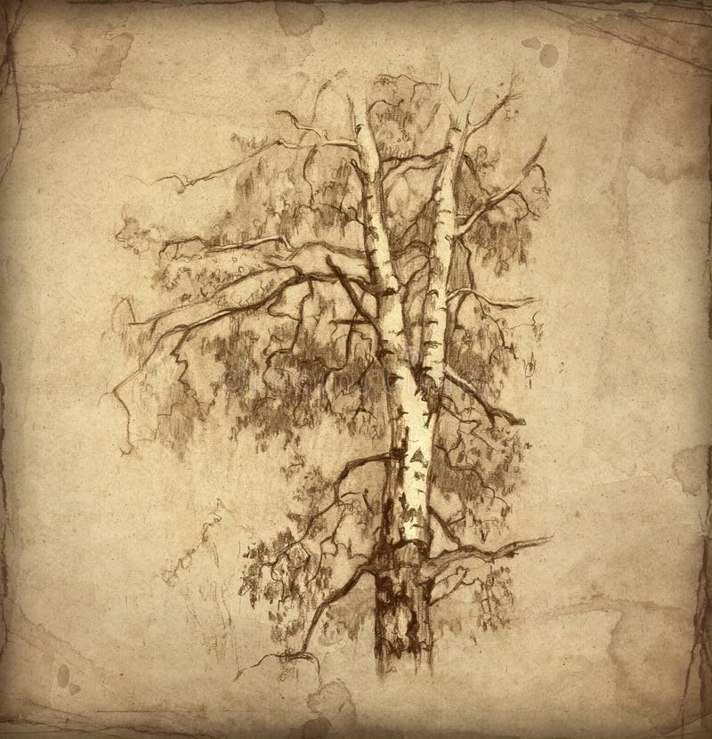 Old paper with drawing stock illustration. Illustration of damaged ...