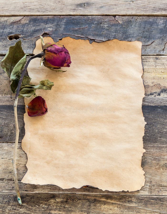 Old Paper with Dried Rose on Wooden Stock Photo - Image of design ...