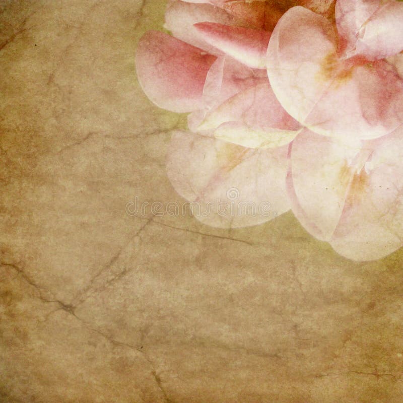 Old Paper with Floral Pattern Stock Illustration - Illustration of ...