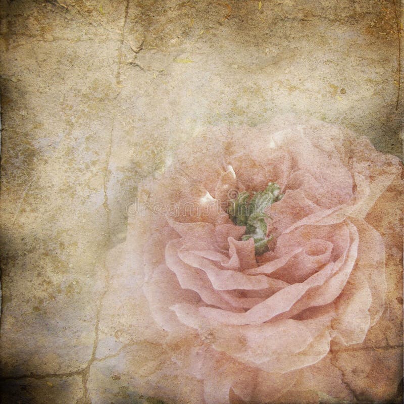 Old Paper With Floral Pattern Stock Illustration Illustration Of