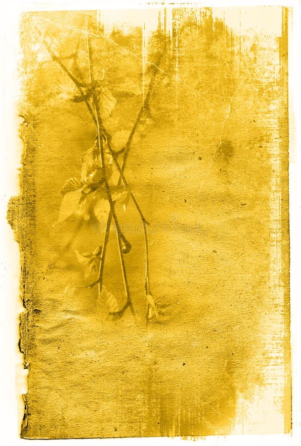 Old paper flower textures stock photo. Image of flower - 4887504