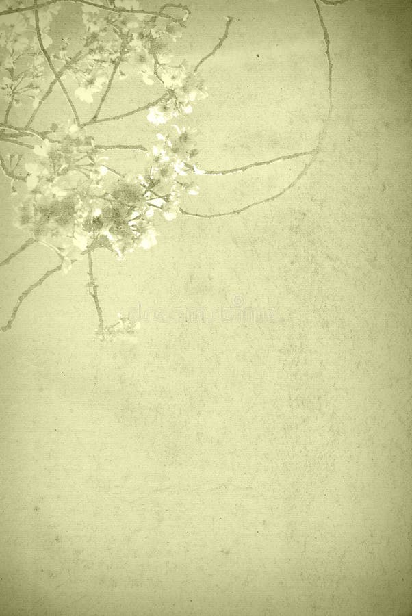 1,800+ Old paper flower Free Stock Photos - StockFreeImages