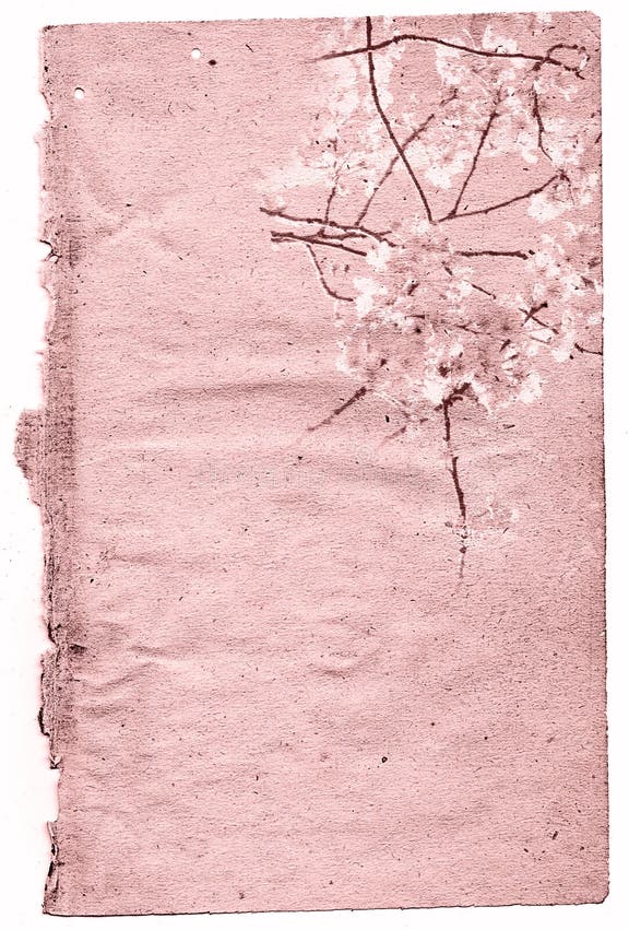 Old paper flower textures stock image. Image of flower - 5471531
