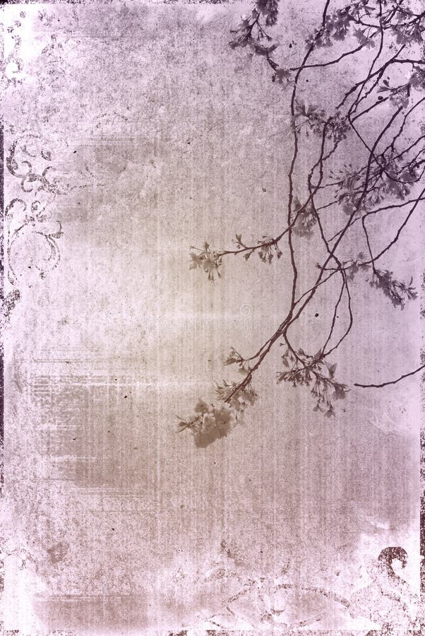 1,800+ Old paper flower Free Stock Photos - StockFreeImages