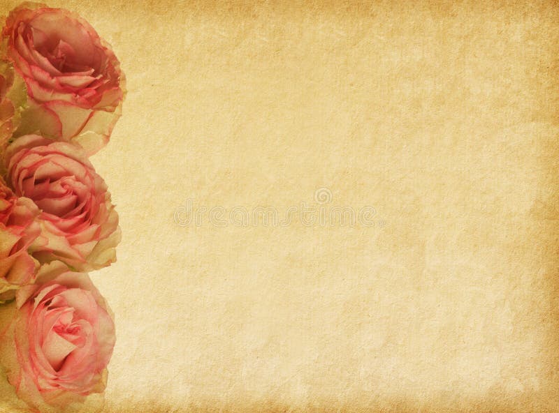 Old Paper with Two Dark Red Roses Stock Photo - Image of page ...