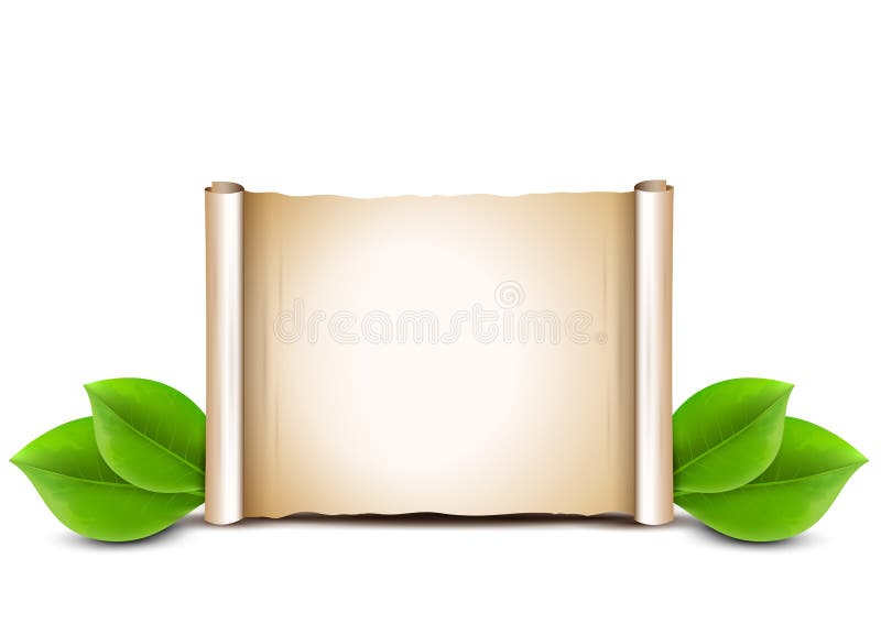Old Paper Scroll and Green Leaves on White Background. Stock Vector ...