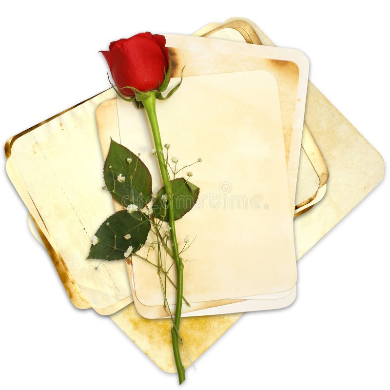 Old Paper Stack with Red Rose Stock Illustration - Illustration of ...