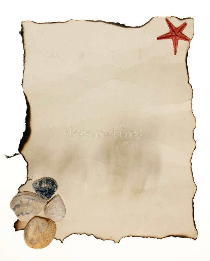 Old Paper Tag with Seashell Stock Photo - Image of canvas, cloth: 21804204