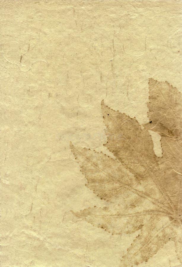 Old paper texture stock photo. Image of parchment, frame - 12909088