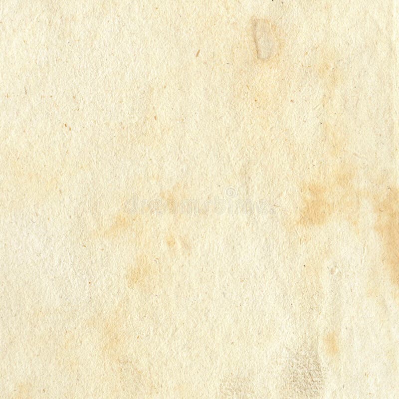 Bible Page Texture