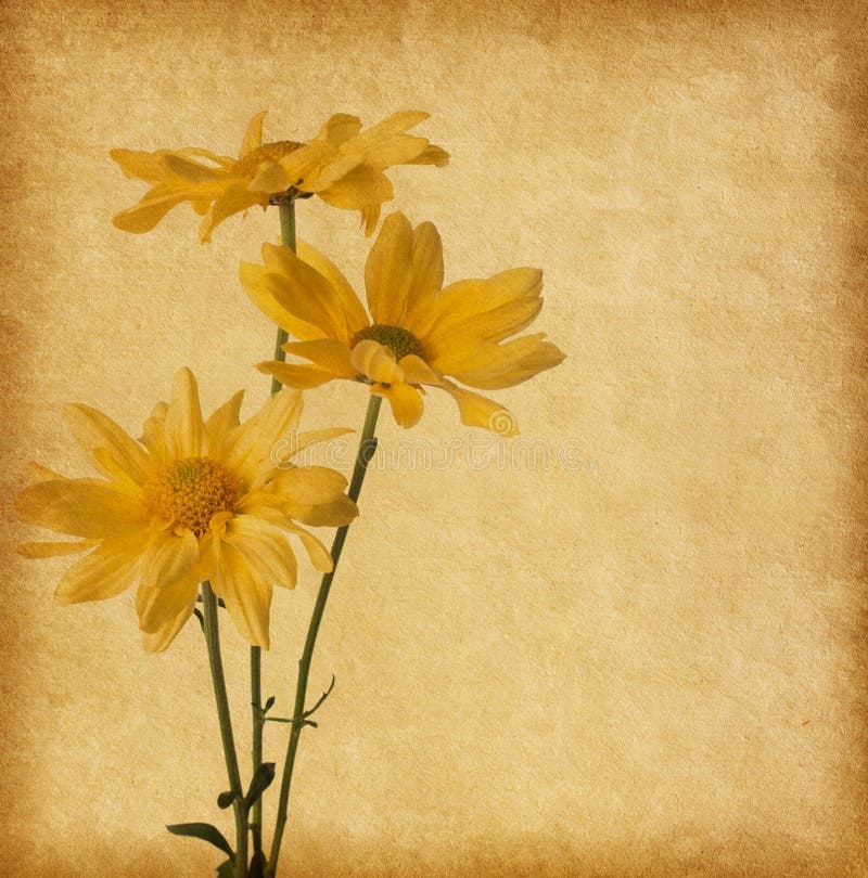 Old Paper Texture with Flowers Stock Photo - Image of flower ...