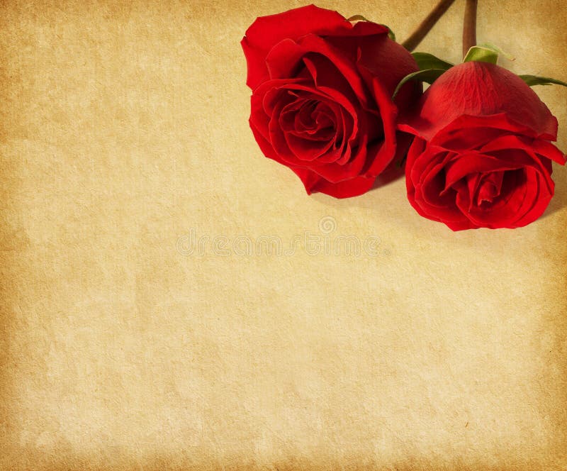Old Paper with Two Dark Red Roses Stock Photo - Image of page ...