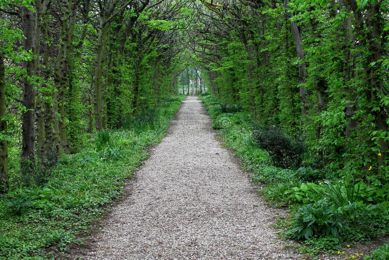 Old park stock photo. Image of netherlands, botany, foliage - 30597080