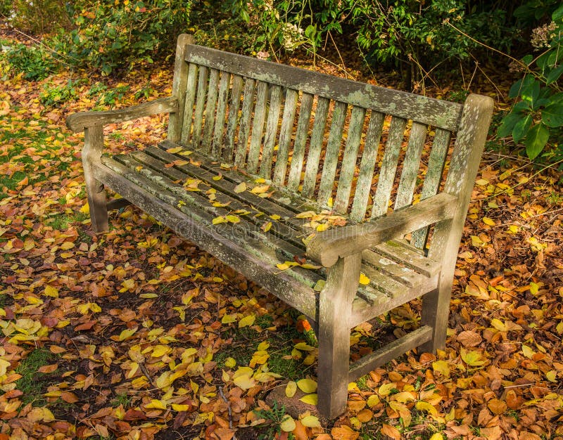 Old Park Bench stock photo. Image of dappled, park, fall - 41823266