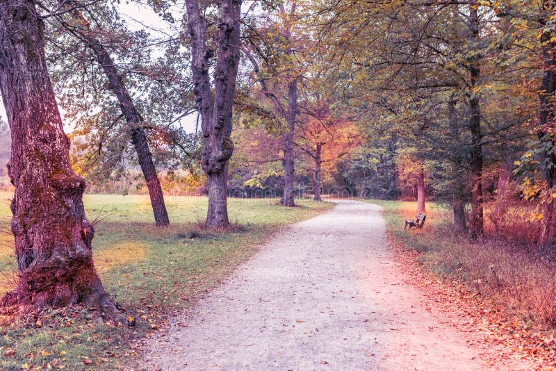 An Old Park at fall stock photo. Image of germany, munich - 186741056
