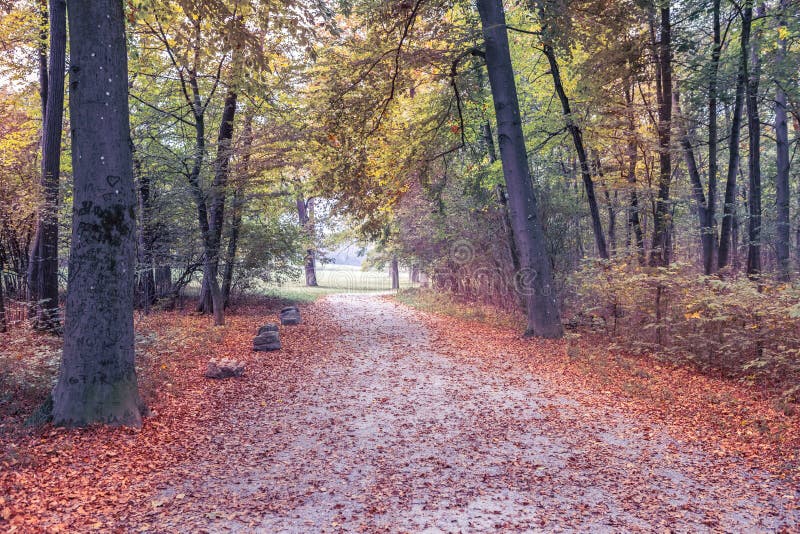 An Old Park at fall stock image. Image of destination - 186741059