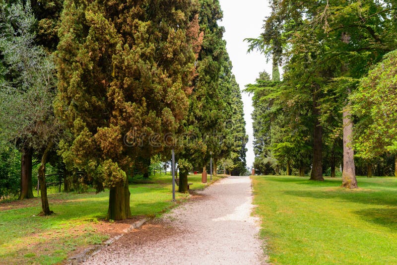Old park in Italia stock image. Image of landscape, flower - 65417739