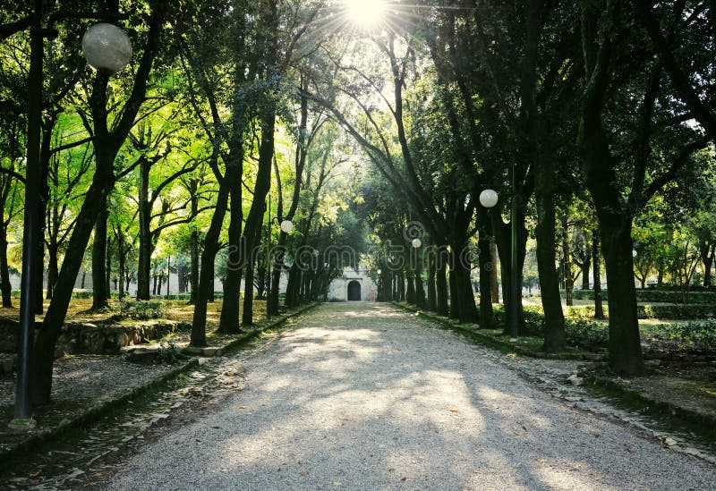 Old park stock image. Image of summer, park, outdoor - 37382409
