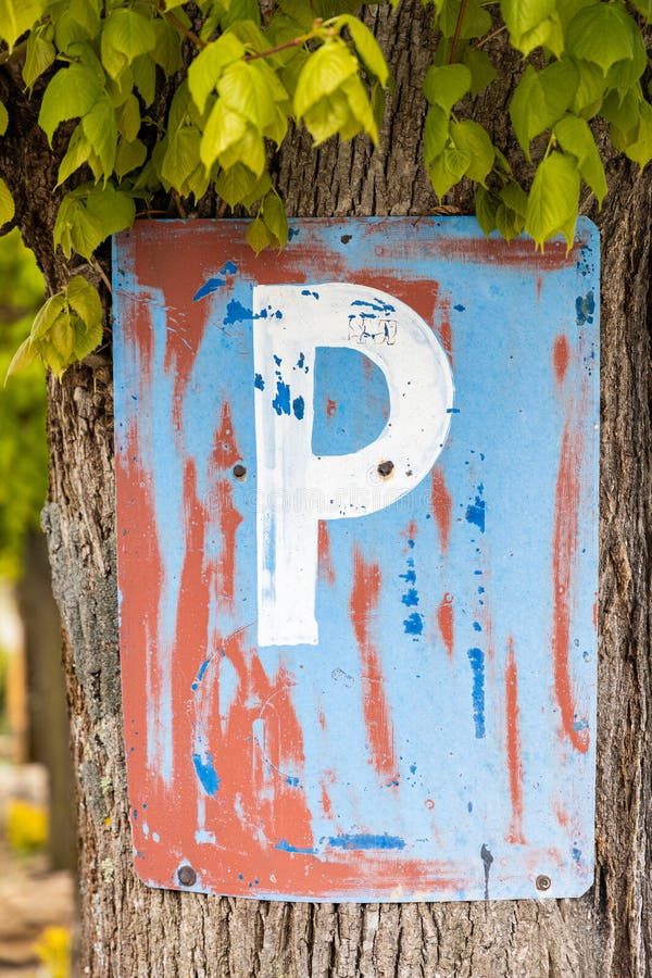 Old Parking Sign on Aged Blue Background on Tree Stock Photo - Image of ...