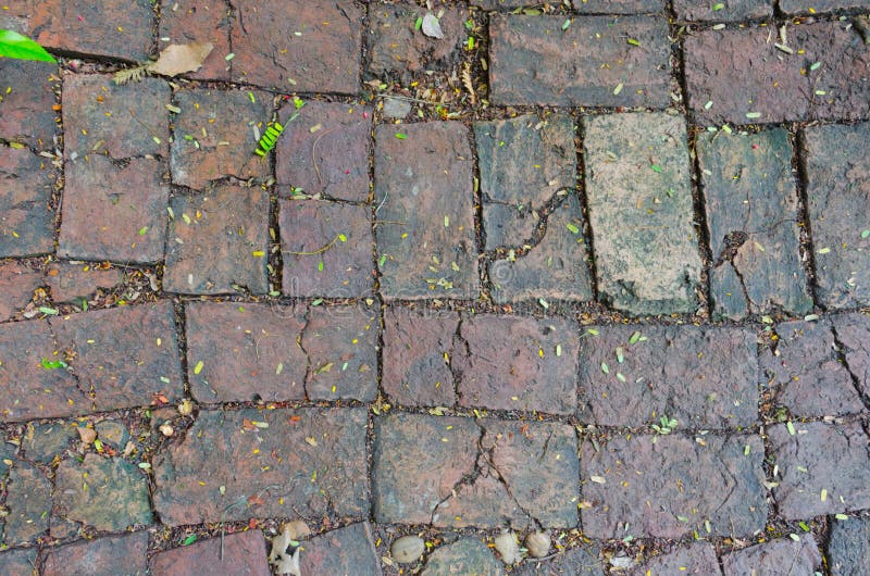 548 Path Foot Block Texture Stock Photos - Free & Royalty-Free Stock ...