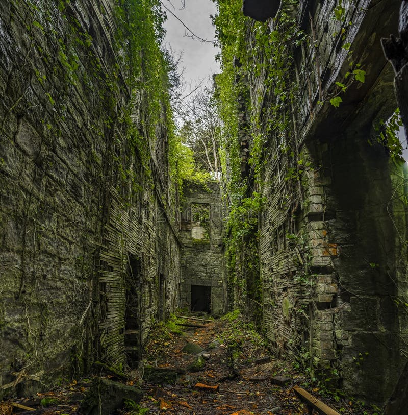 Old Path between High Green Walls Stock Image - Image of landscape ...