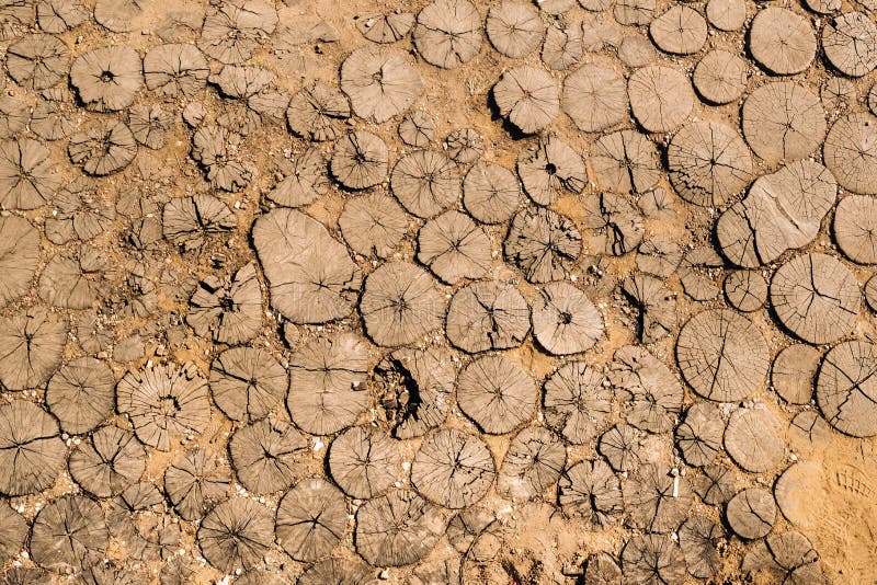 1,064 Laid Timber Stock Photos - Free & Royalty-Free Stock Photos from ...