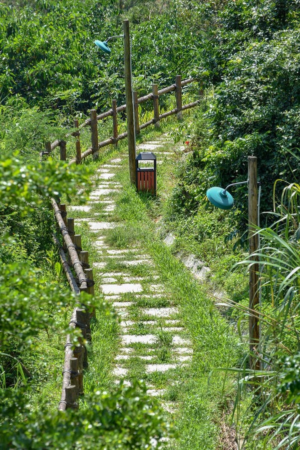 The old path stock photo. Image of handrail, fine, trees - 158550532