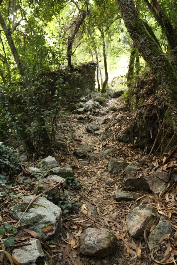 Old path of a water mill stock image. Image of garden - 43308337