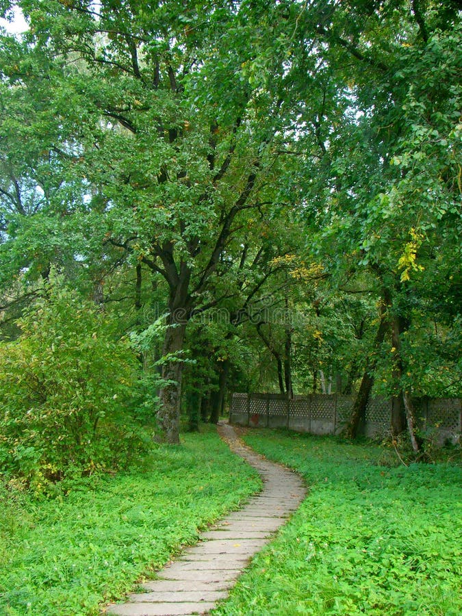Old pathway in the park stock photo. Image of forest - 113732070