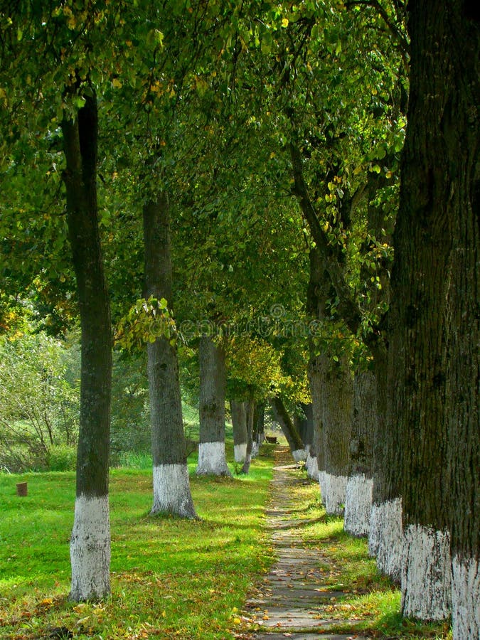 Old pathway in the park stock image. Image of nature - 113732083