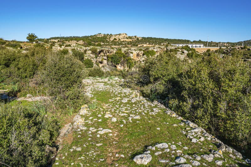 Ancient Pathway through Jungle in Thailand. Stock Photo - Image of ...