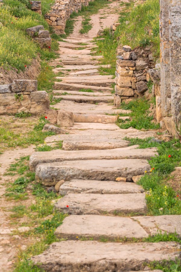 Old paved road stock photo. Image of city, block, granite - 59959568