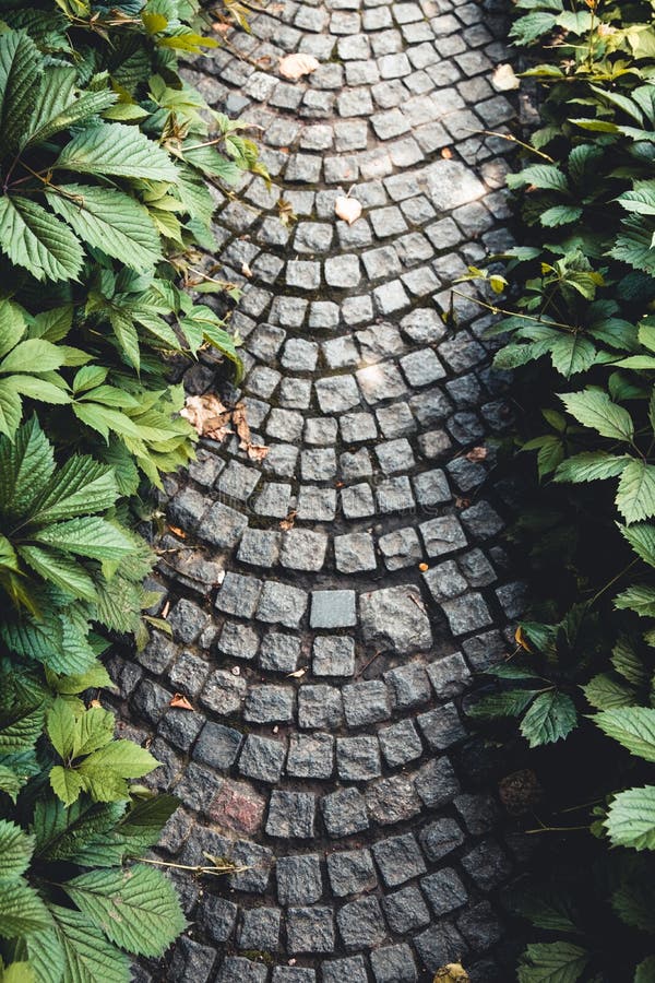 Old Paving Stones. Gray Rectangular Stones Laid Like Tiles. Damp ...