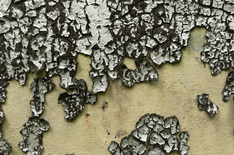 An Old, Pealed Paint on the Wall of Abandoned Building. Stock Image ...