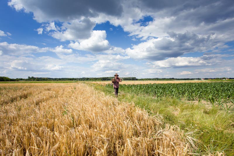 Old peasant stock photo. Image of cultivation, landscape - 55821548