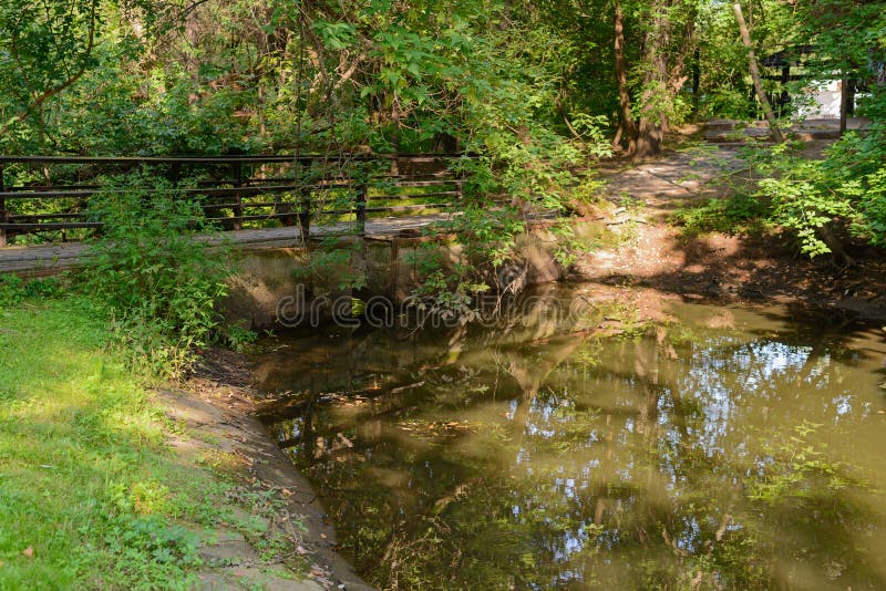 Old Pedestrian Bridge Over a Pond in the Forest on a Summer Stock Image ...