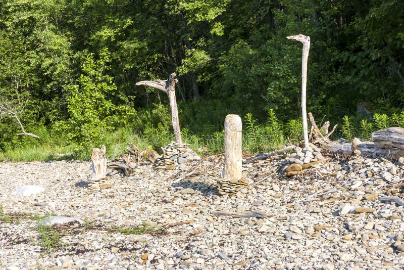 Old Peeled Tree Stems on Stones Stock Image - Image of forest, cobble ...