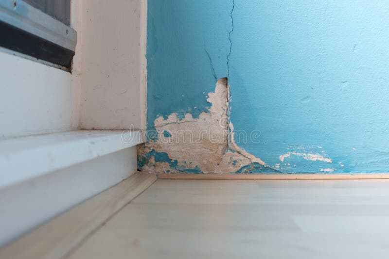 Old peeled wall with mold stock photo. Image of beige - 152927204