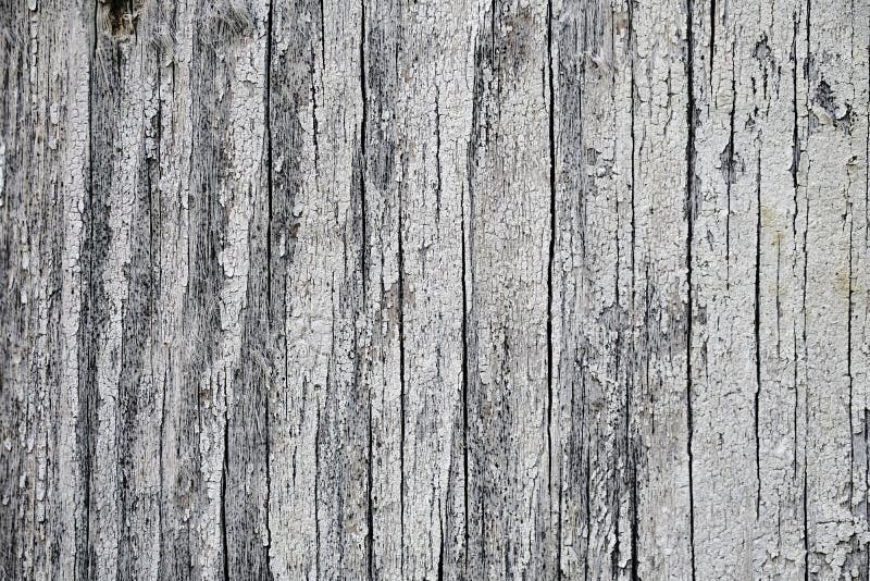 Old Peeling Paint. Wood Texture. the Background Stock Photo - Image of ...