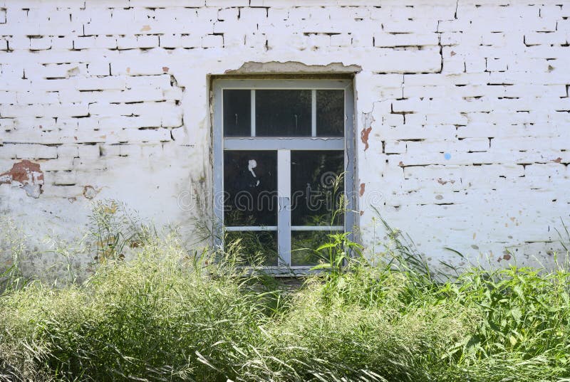 An Old Peeling Window on a Whitewashed Brick Wall Overgrown with Grass ...